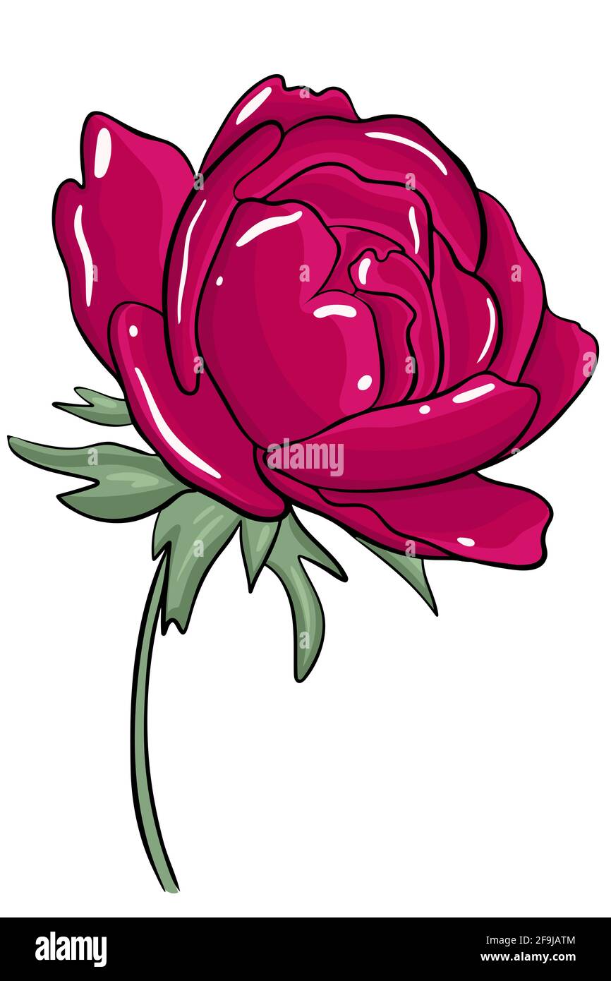 Burgundy card vector vectors Cut Out Stock Images & Pictures - Alamy