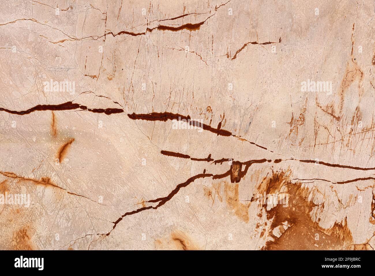 Roma design hi-res stock photography and images - Alamy