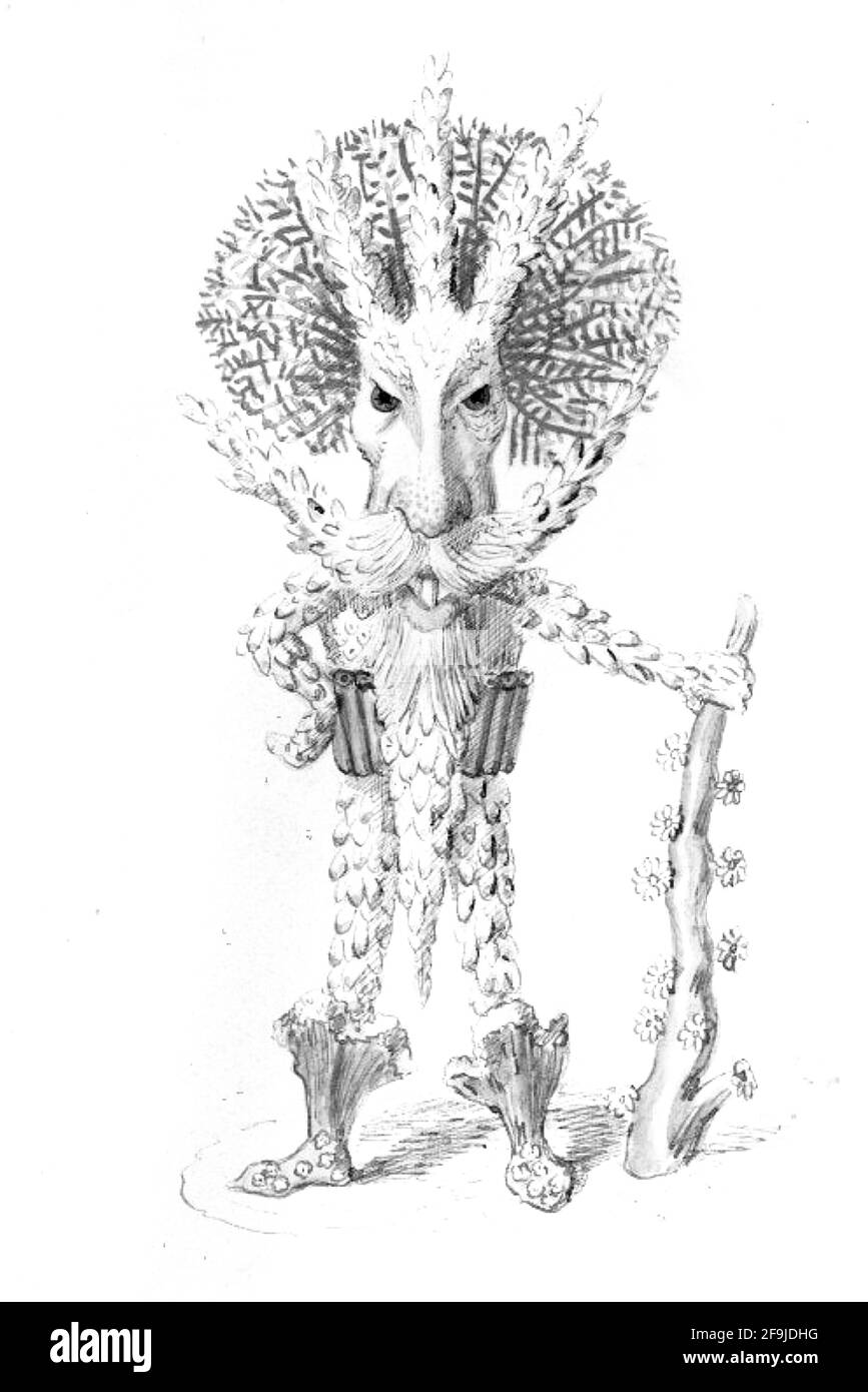 Mistick Krewe of Comus Charles Briton costume designs for the New ...