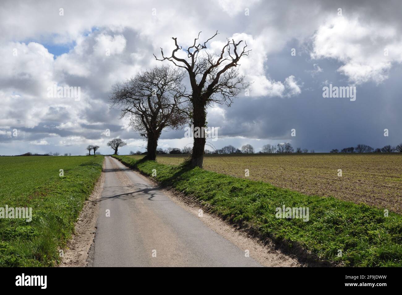 Lane leading south-east towards Southrepps, north Norfolk, England UK ...