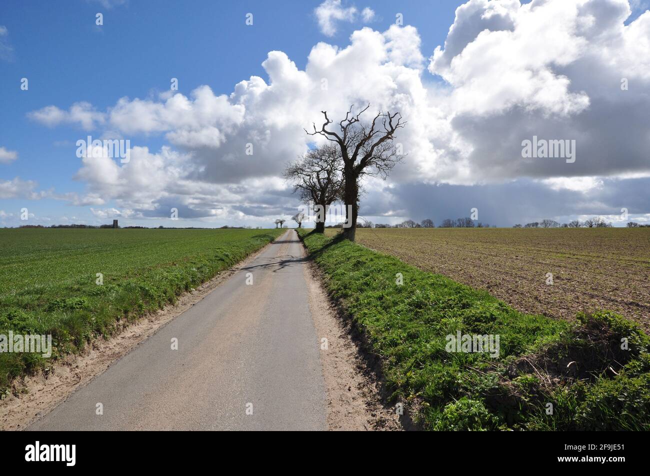 Lane leading south-east towards Southrepps, north Norfolk, England UK ...