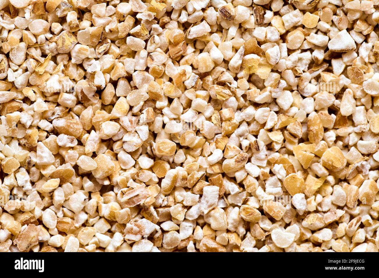 Raw dried broken barley cereal grain texture background macro closeup ...