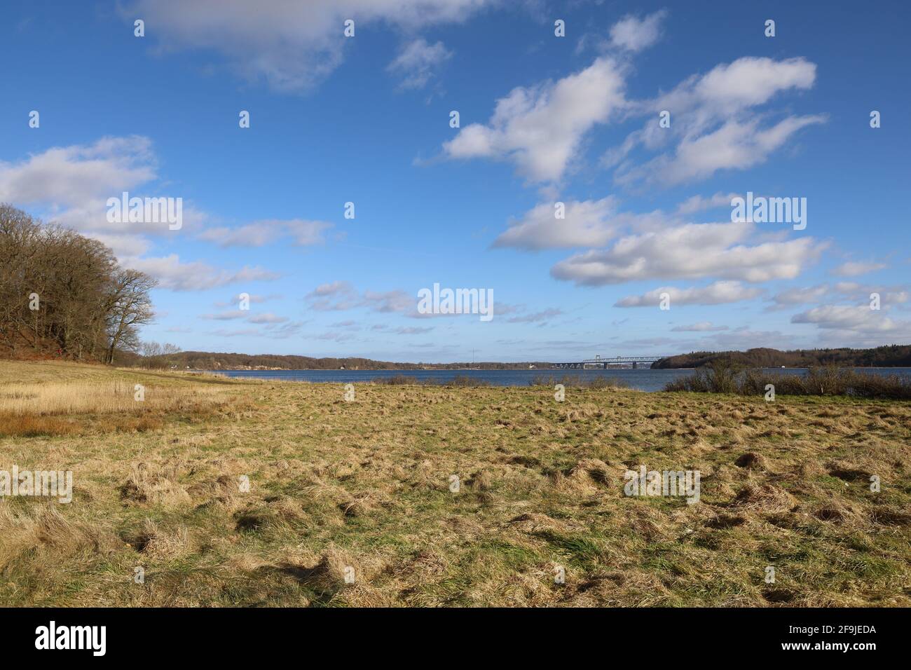 Landscape of a field covered in the grass and trees under a blue cloudy ...