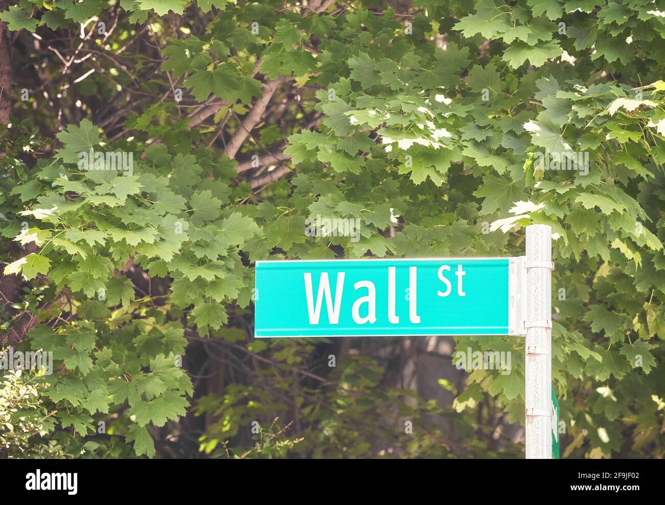 Green City Road Sign