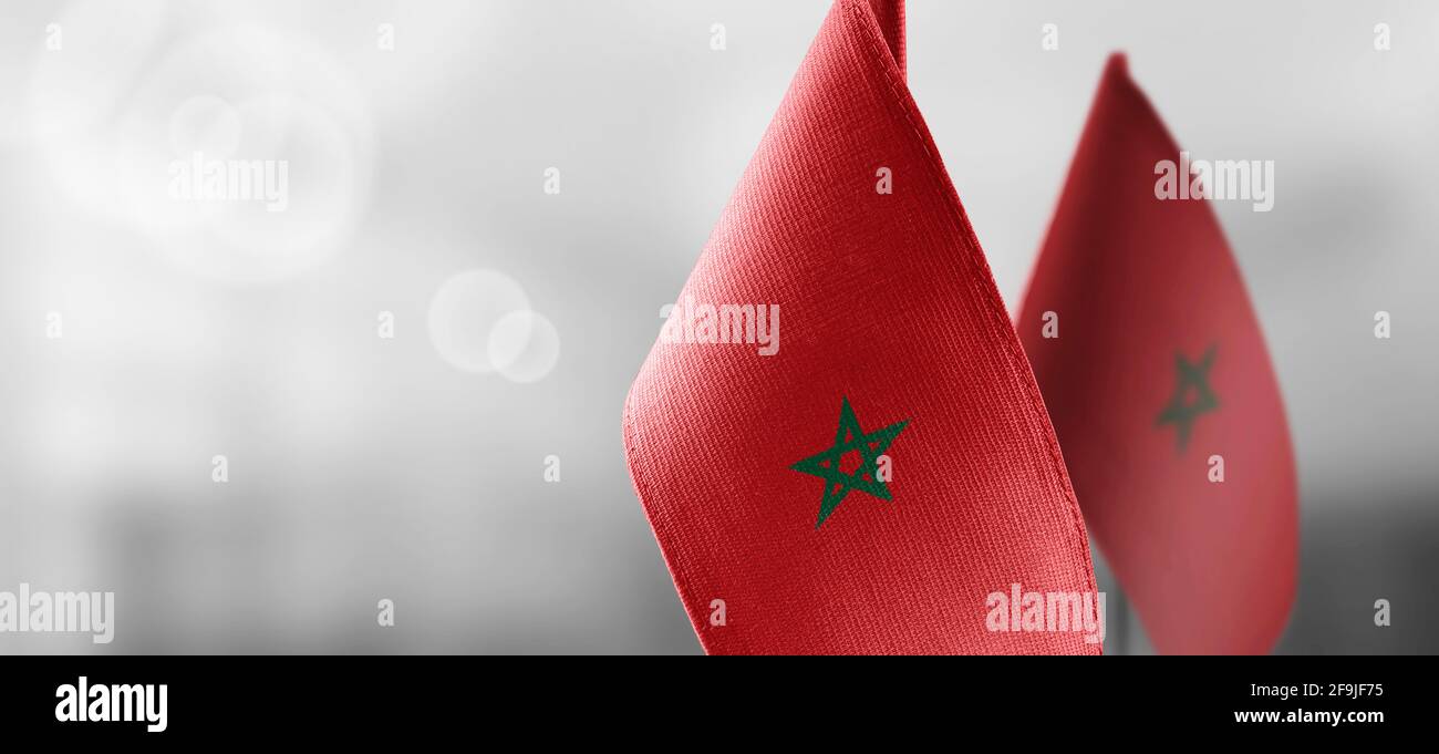 Small national flags of the Morocco on a light blurry background Stock ...