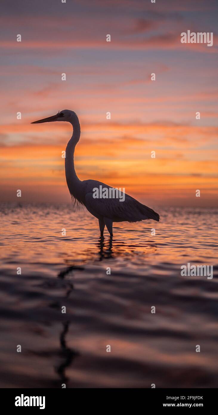 Sunset, Mexico - Holbox Stock Photo - Alamy