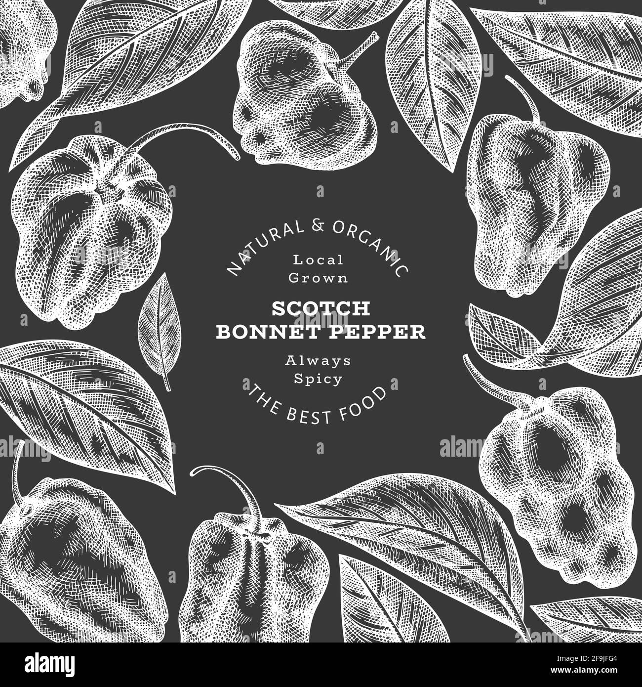 Hand drawn sketch style scotch bonnet pepper banner. Organic fresh ...