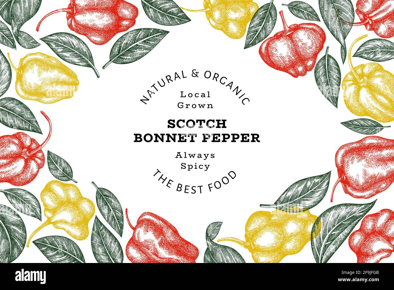 Hand drawn sketch style scotch bonnet pepper banner. Organic fresh ...