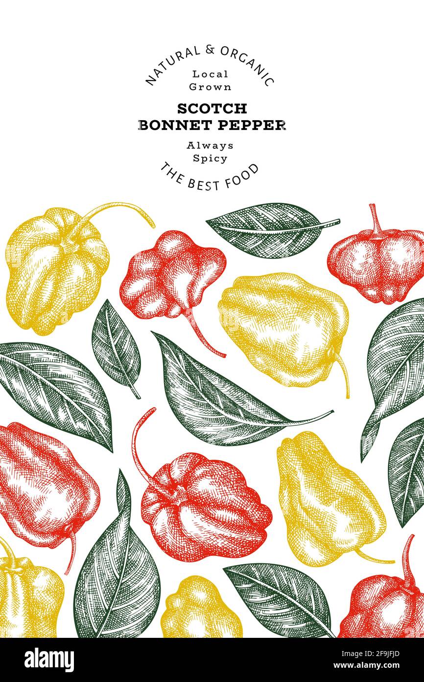 Hand drawn sketch style scotch bonnet pepper banner. Organic fresh ...