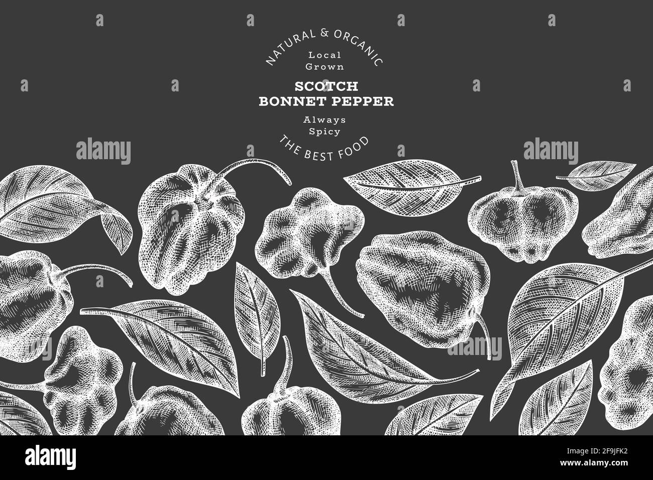 Hand drawn sketch style scotch bonnet pepper banner. Organic fresh ...