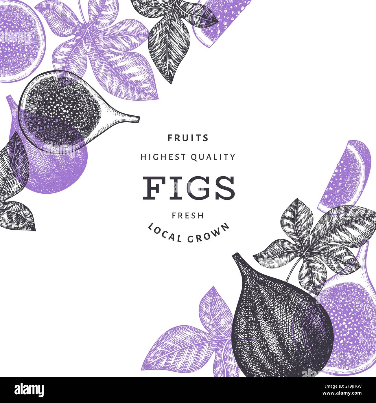 Hand drawn fig fruits design template. Organic fresh food vector ...