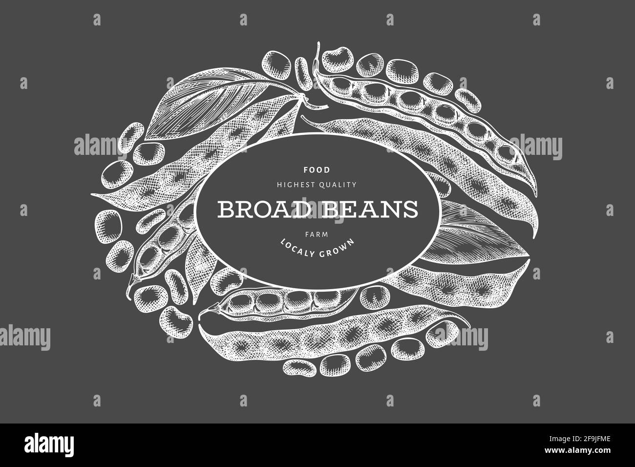 Hand drawn broad beans design template. Organic fresh food vector ...