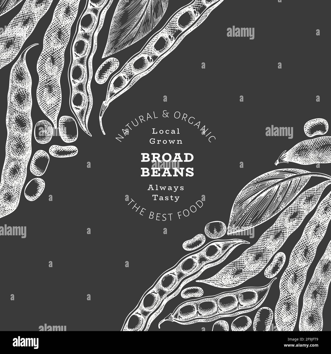 Hand drawn broad beans design template. Organic fresh food vector ...