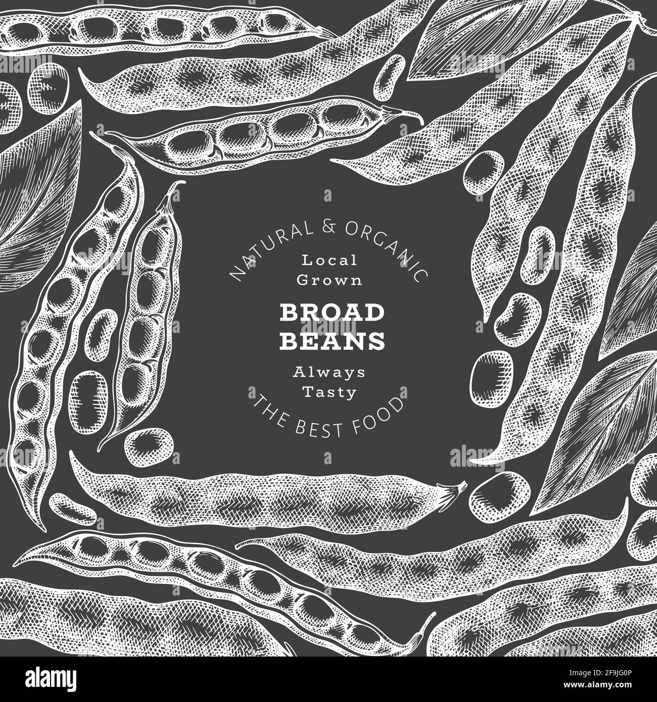 Hand drawn broad beans design template. Organic fresh food vector ...