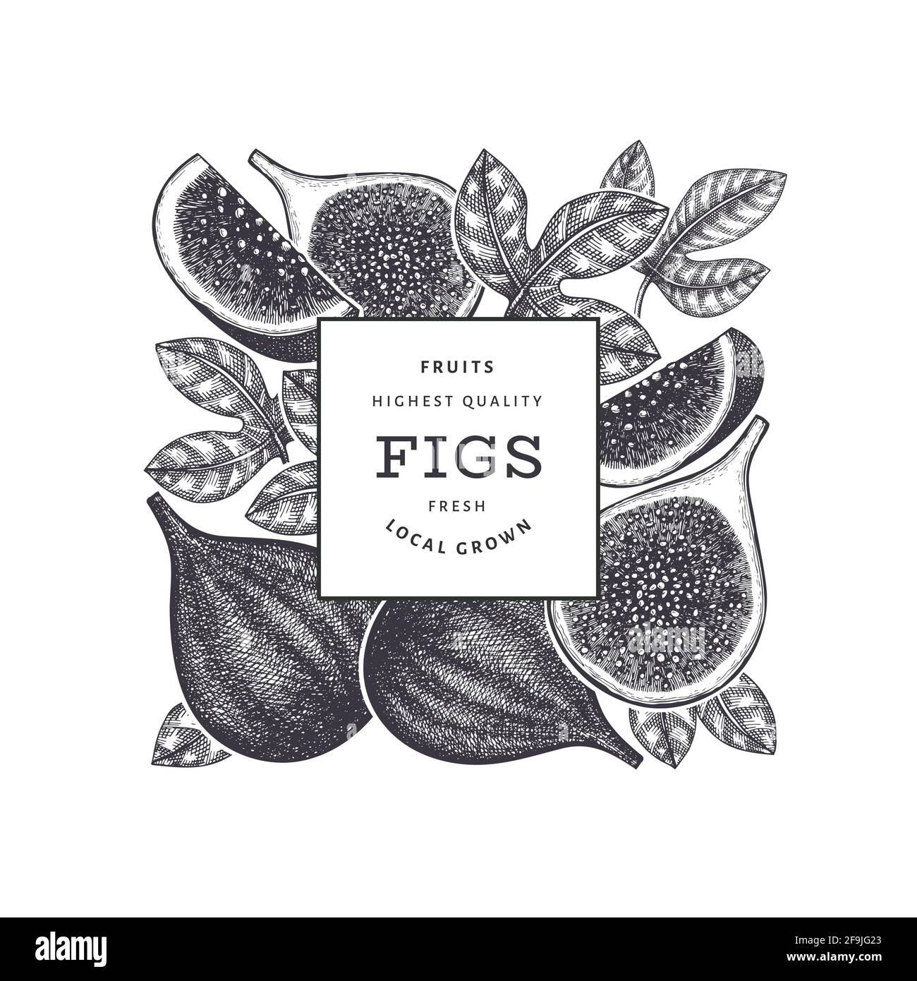Hand drawn fig fruits design template. Organic fresh food vector ...