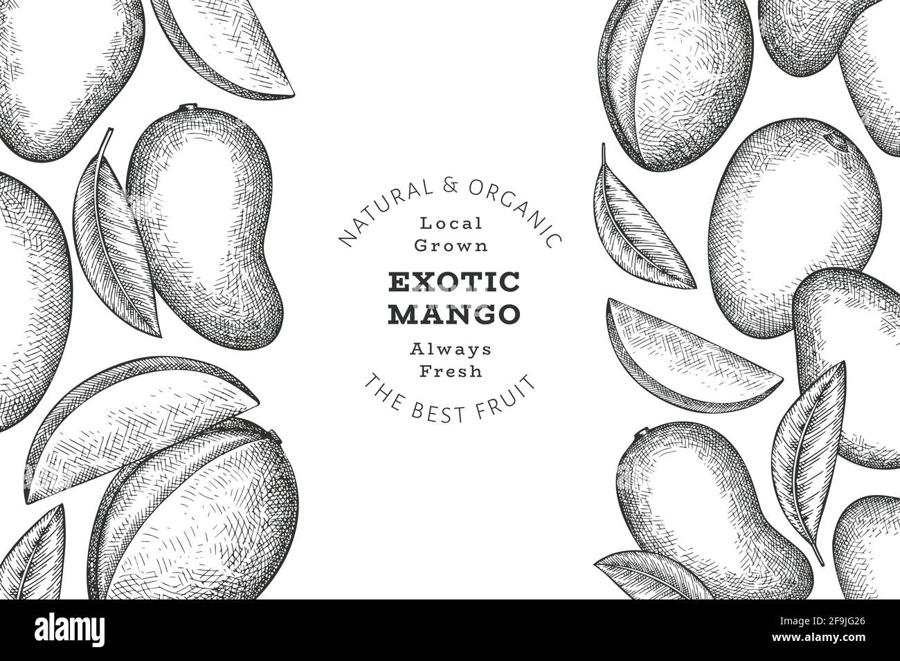 Hand drawn sketch style mango banner. Organic fresh fruit vector ...
