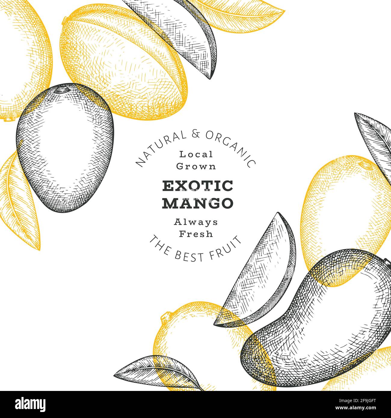 Hand drawn sketch style mango banner. Organic fresh fruit vector ...