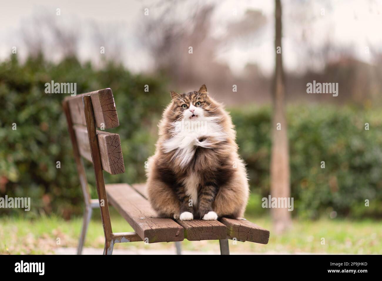 Funny bench hi-res stock photography and images - Alamy