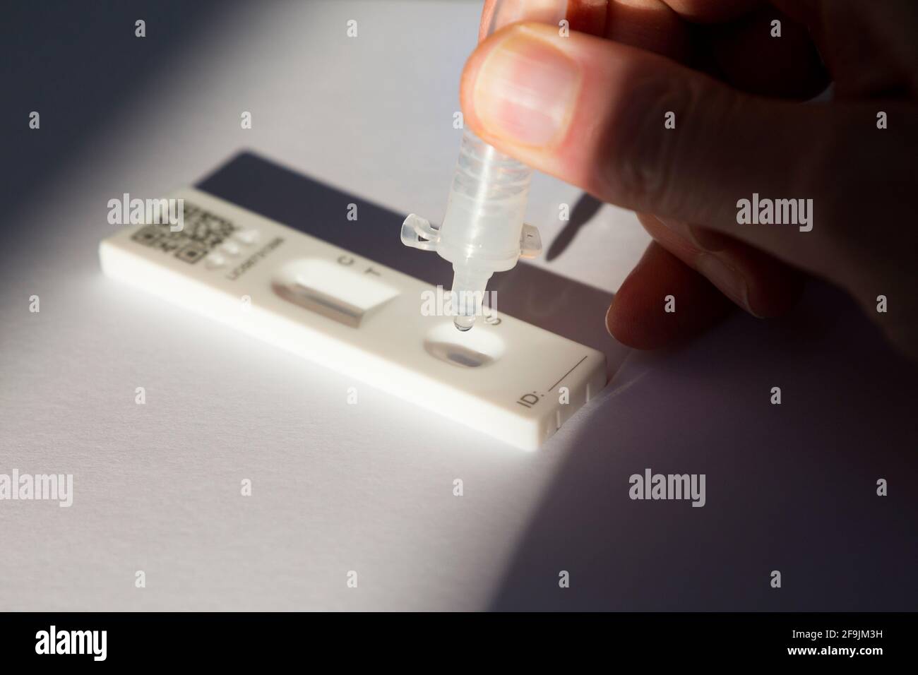 A hand dripping a sample and test solution onto lateral flow test LFT ...