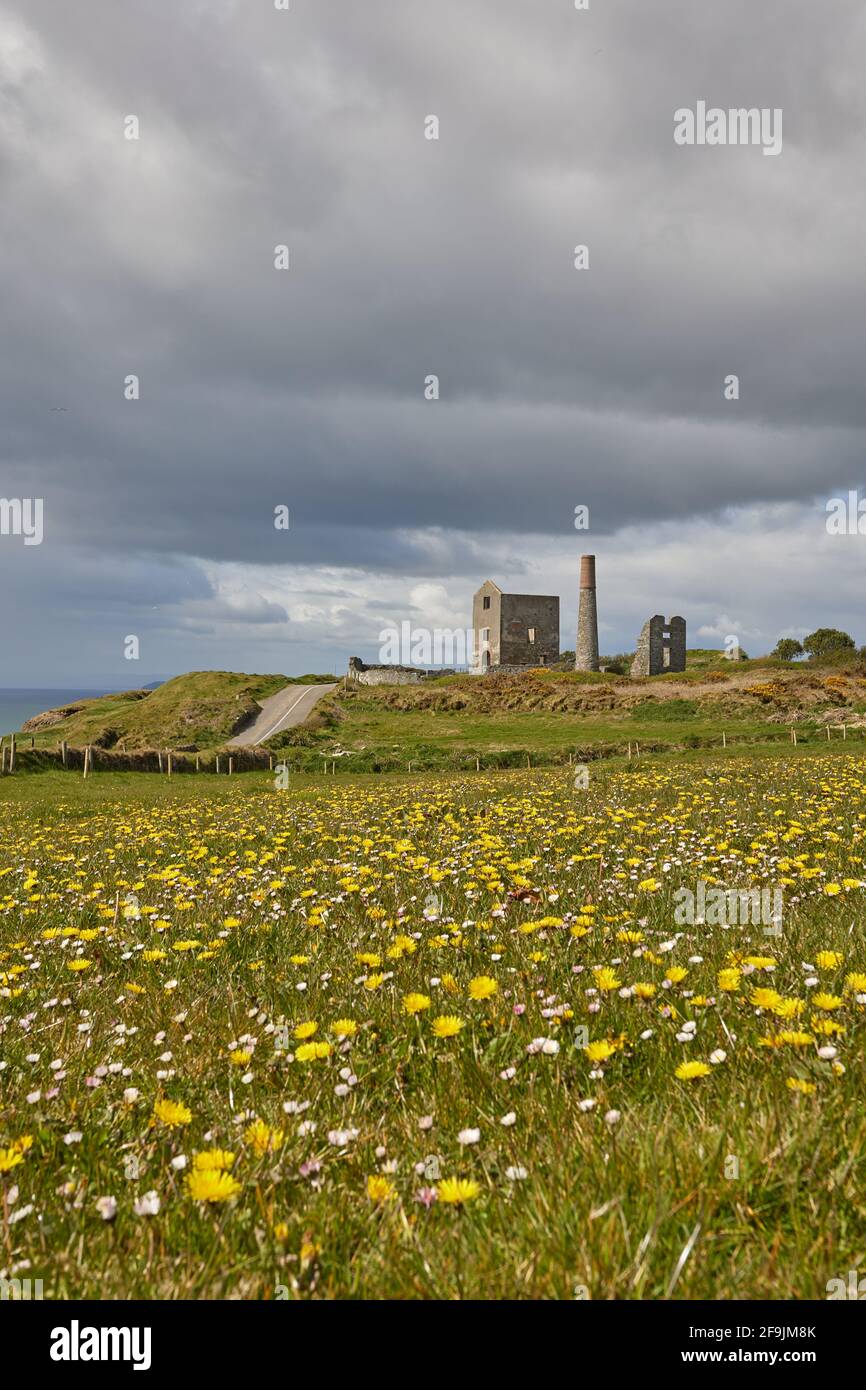 spring, flowers and cloudy sky. Tankardstown. Copper Coast Geopark ...