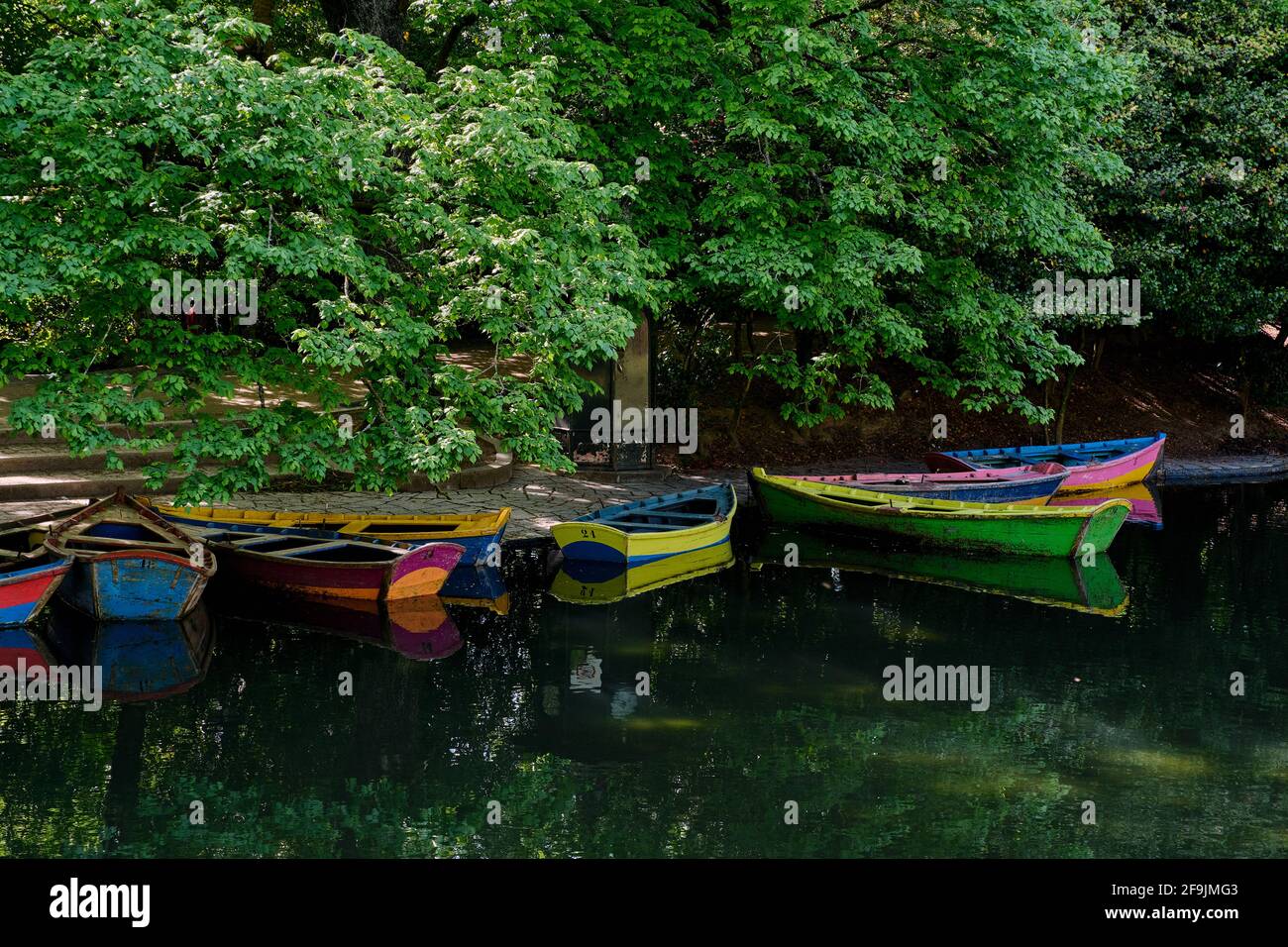Wooden boats, painted in vibrant colors, are tied at the edge of the ...