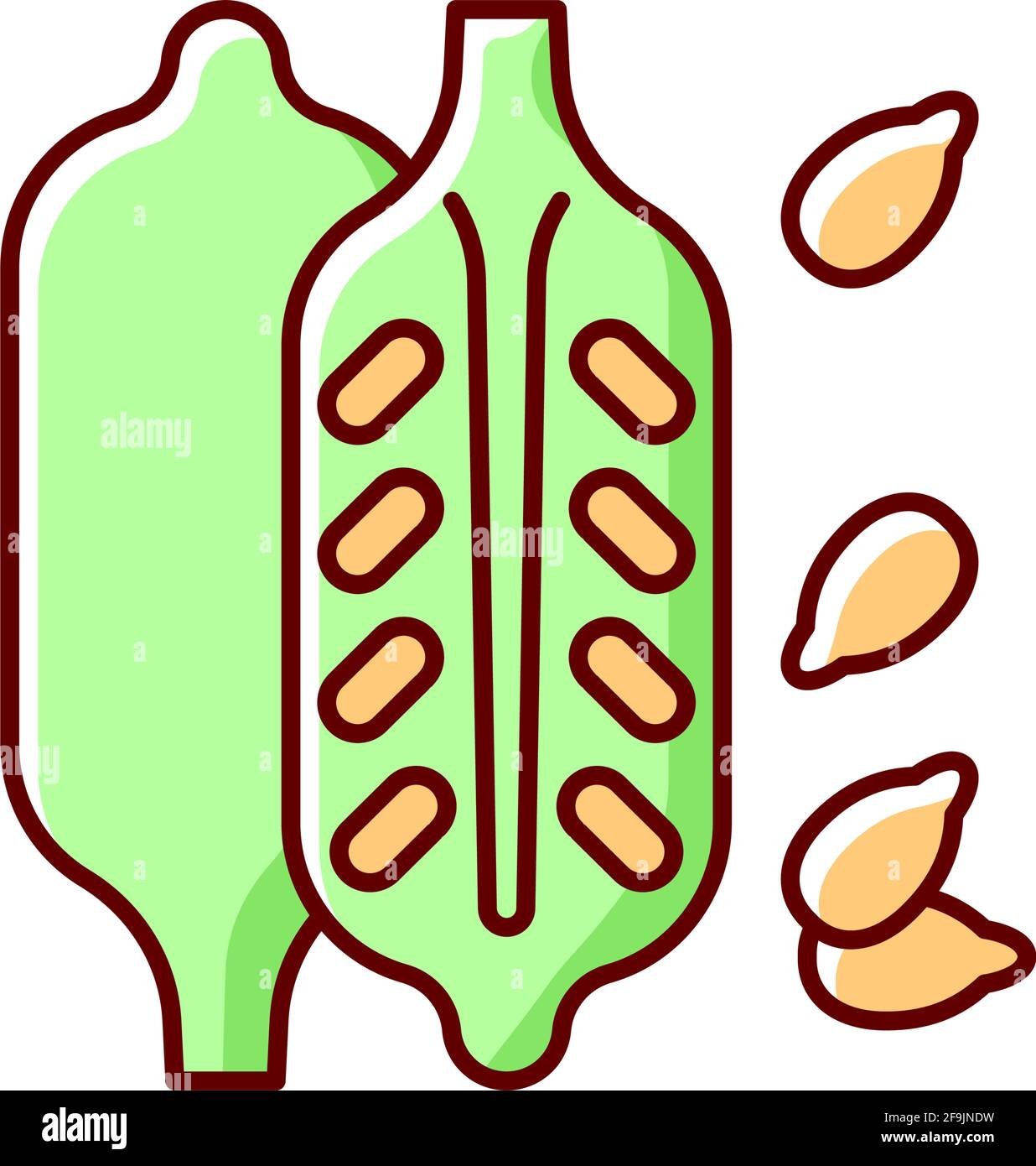 Sesame RGB color icon Stock Vector Image & Art - Alamy