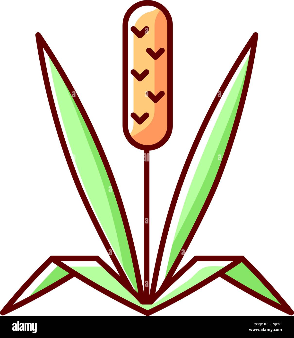 Timothy garden Stock Vector Images - Alamy