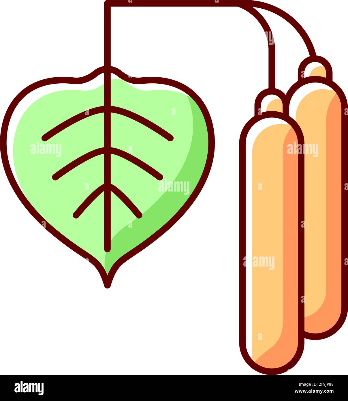 Birch tree color line Stock Vector Images - Alamy