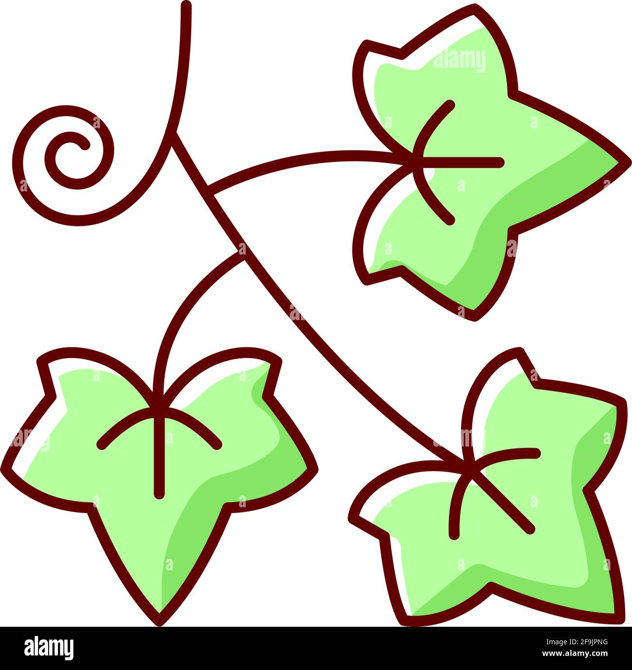 English ivy RGB color icon Stock Vector Image & Art - Alamy