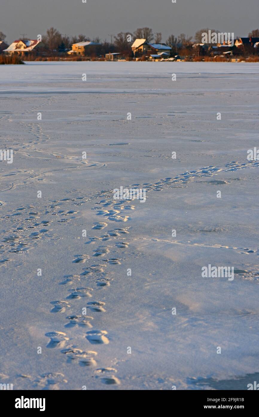 Golden sun disc hi-res stock photography and images - Alamy