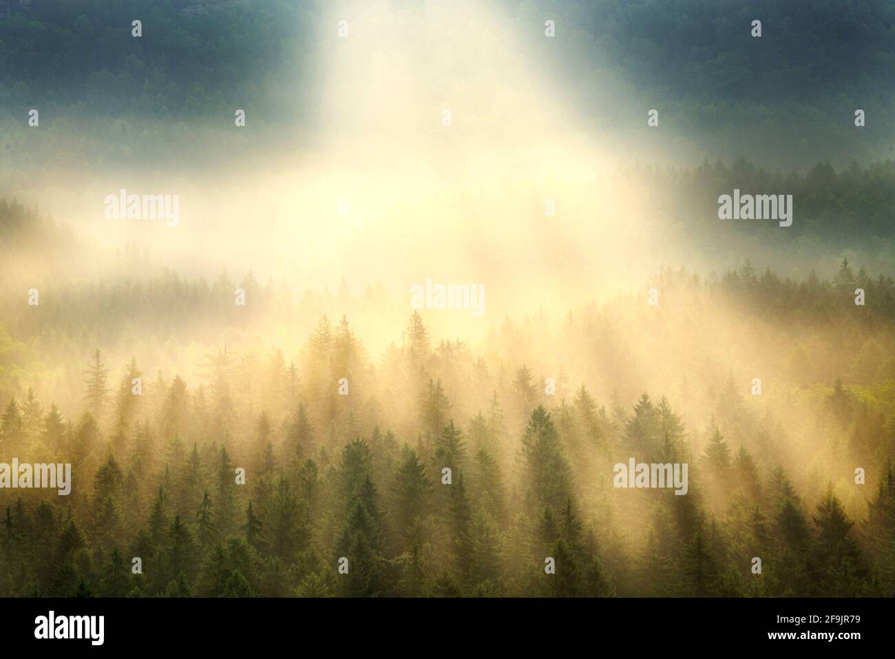 Sunlight is breaking through the fog hi-res stock photography and ...
