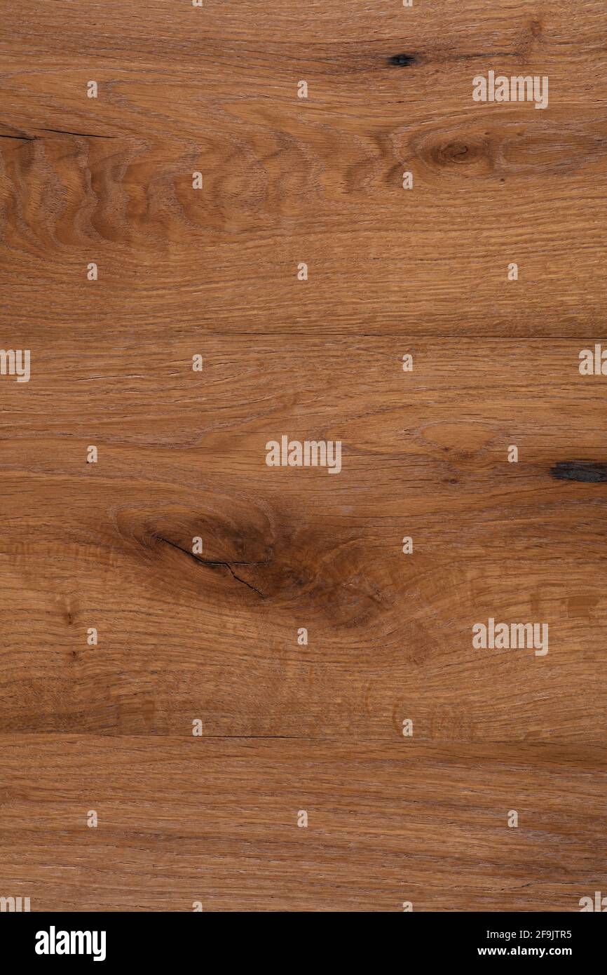 Rovere Eur Travi Old Light veneer texture, background for your office ...