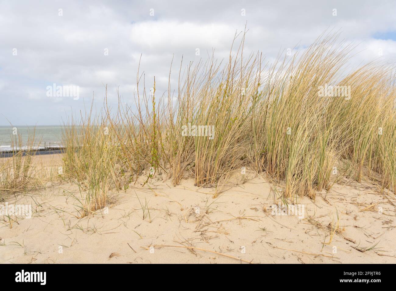 Rocks on the zeeland coast of the netherlands hi-res stock photography ...