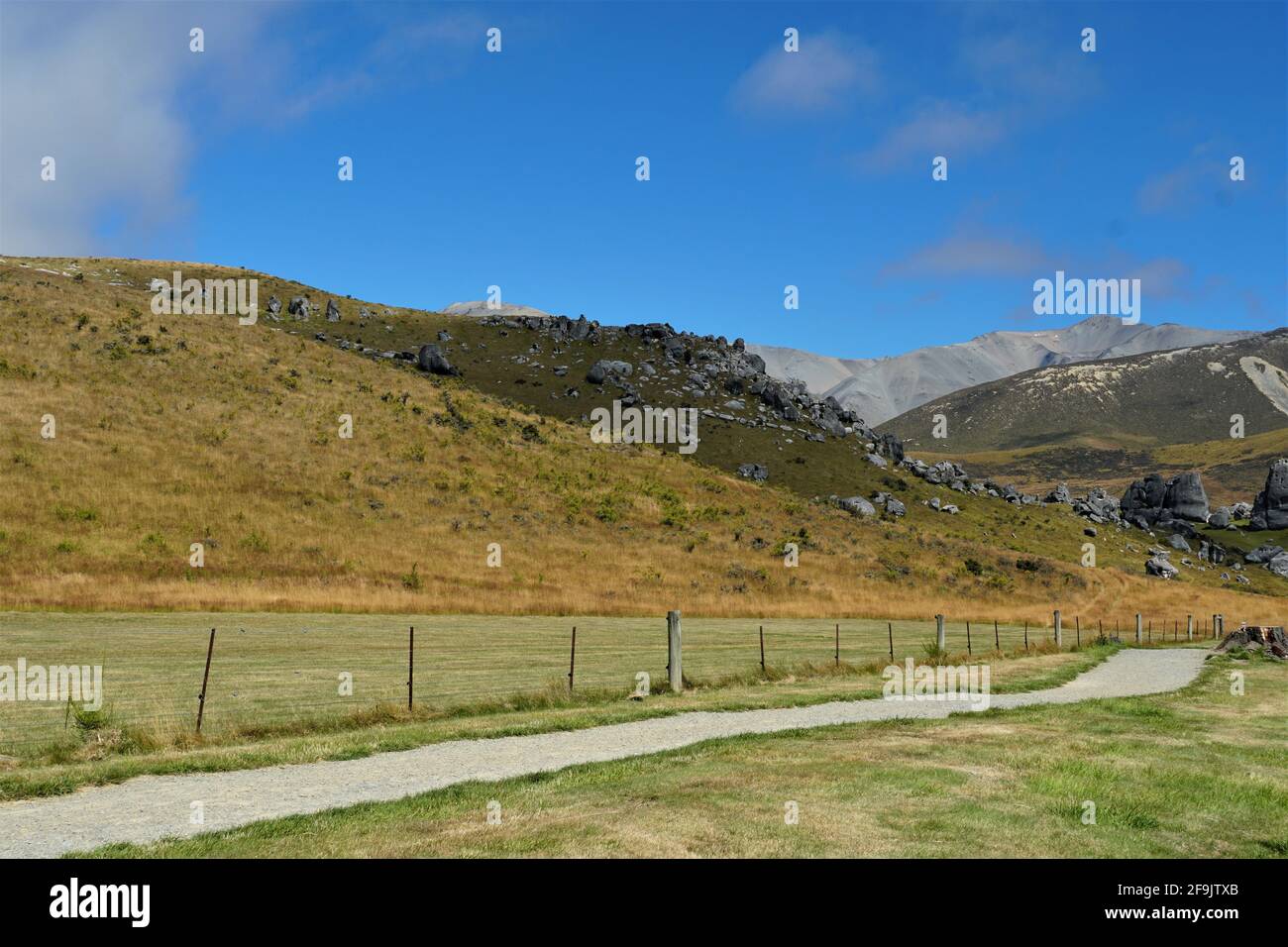 New Zealand farm track Stock Photo - Alamy