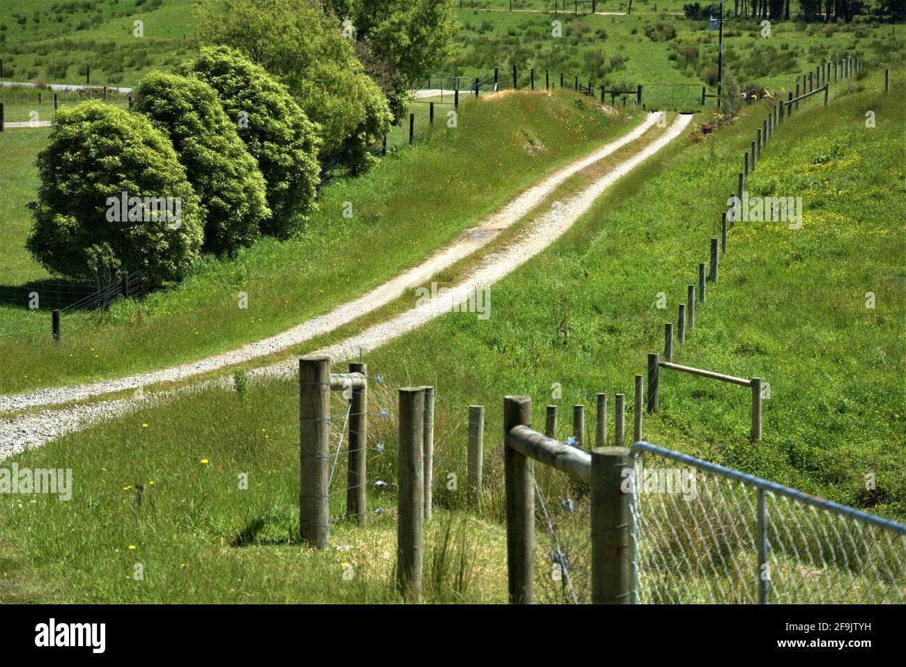 New Zealand farm track Stock Photo - Alamy
