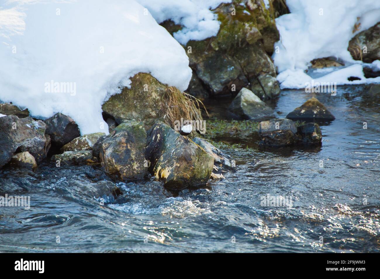 Winter landscape of a river with seething water and snow-capped rocky ...