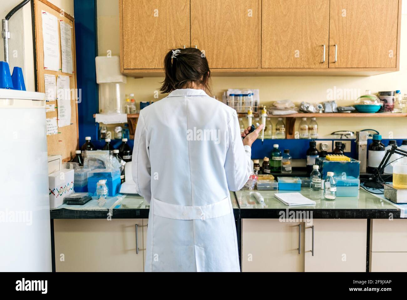 Back view female scientist working hi-res stock photography and images ...