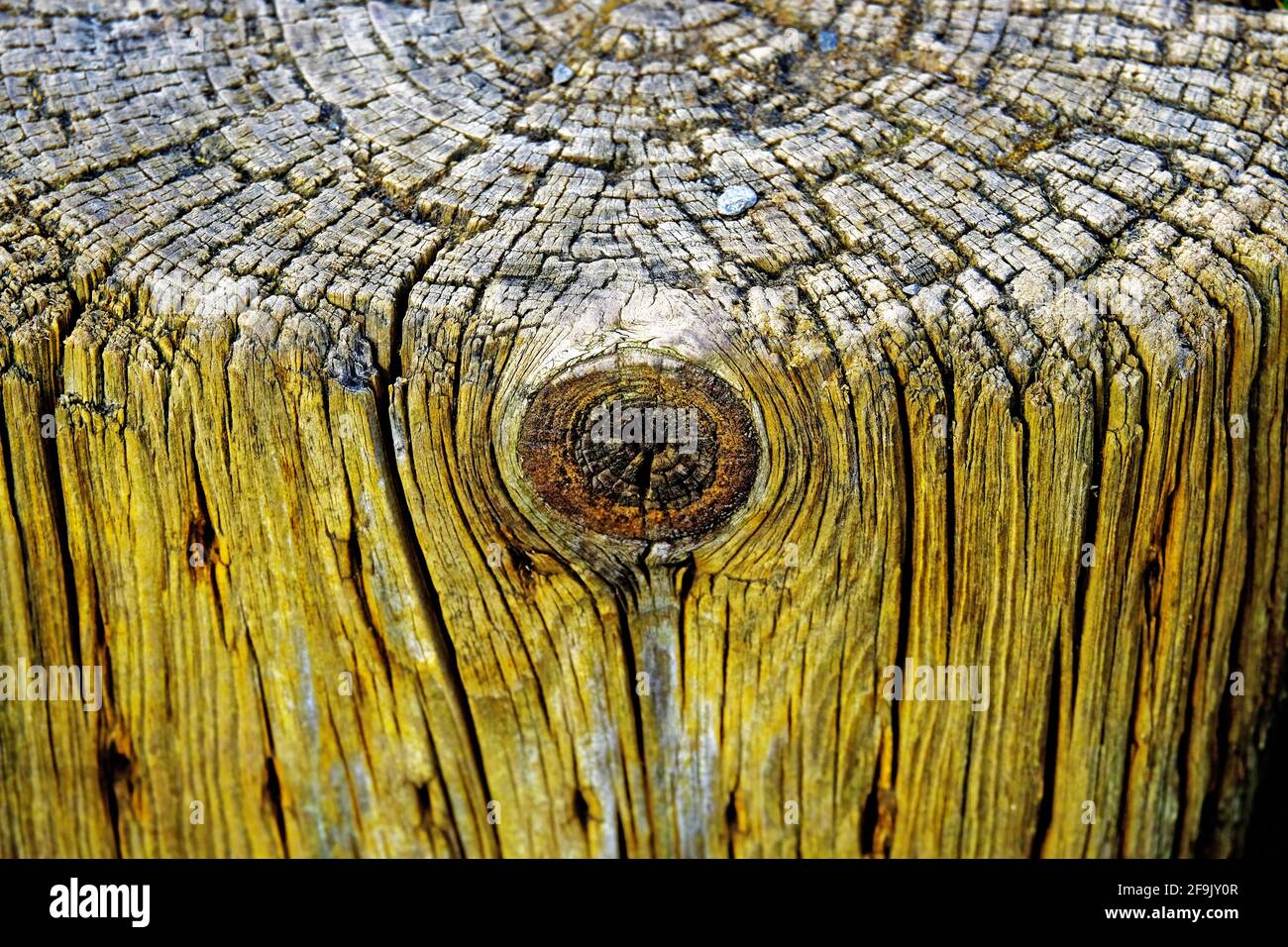 Knotted shapes hi-res stock photography and images - Alamy