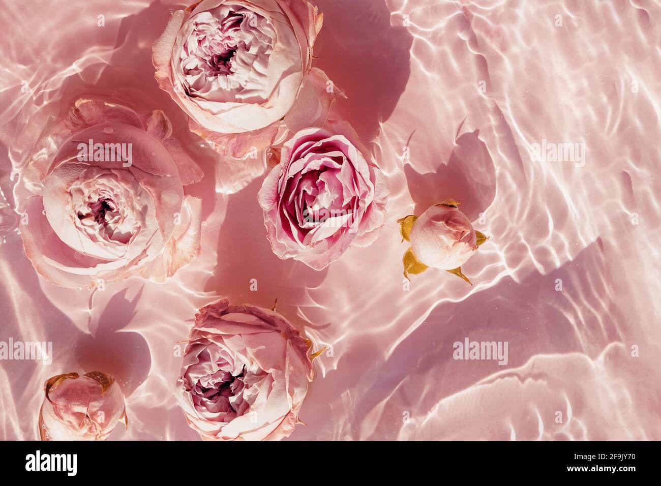 Ripple water flower hi-res stock photography and images - Alamy