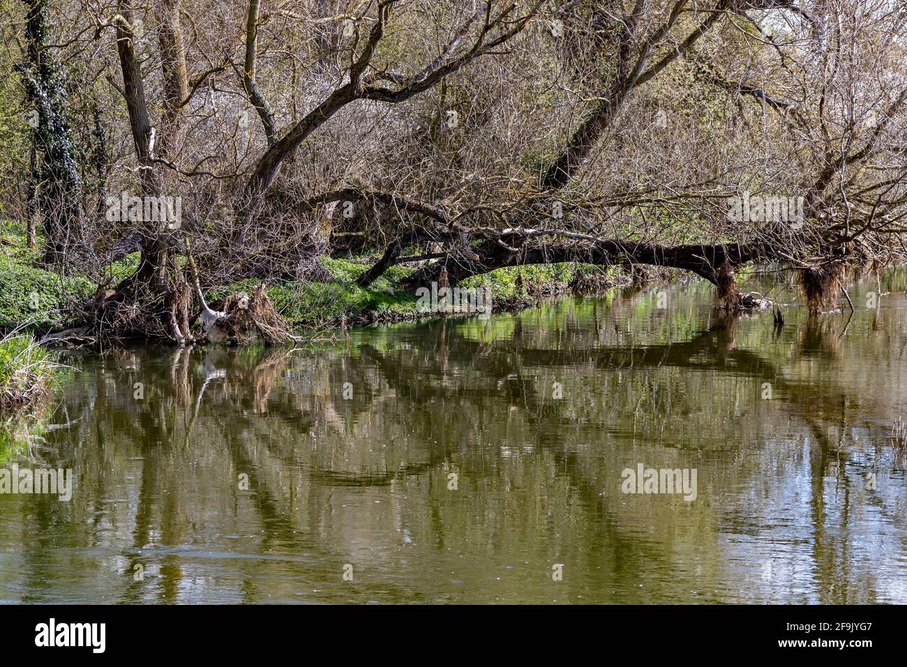River nene valley hi-res stock photography and images - Alamy
