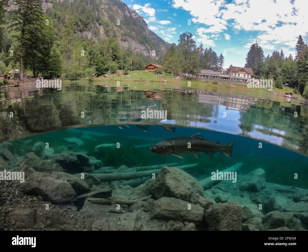 Lake blausee in switzerland hi-res stock photography and images - Alamy
