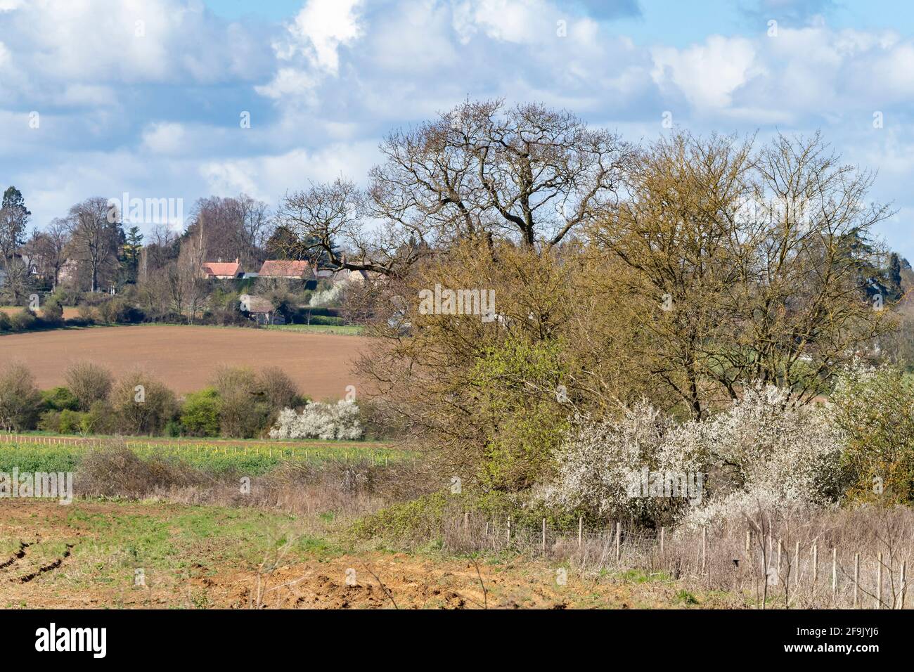 River Nene between Cogenhoe and Grendan in the Nene valley ...
