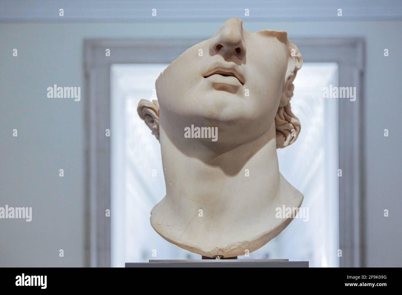 Fragmentary colossal head hi-res stock photography and images - Alamy