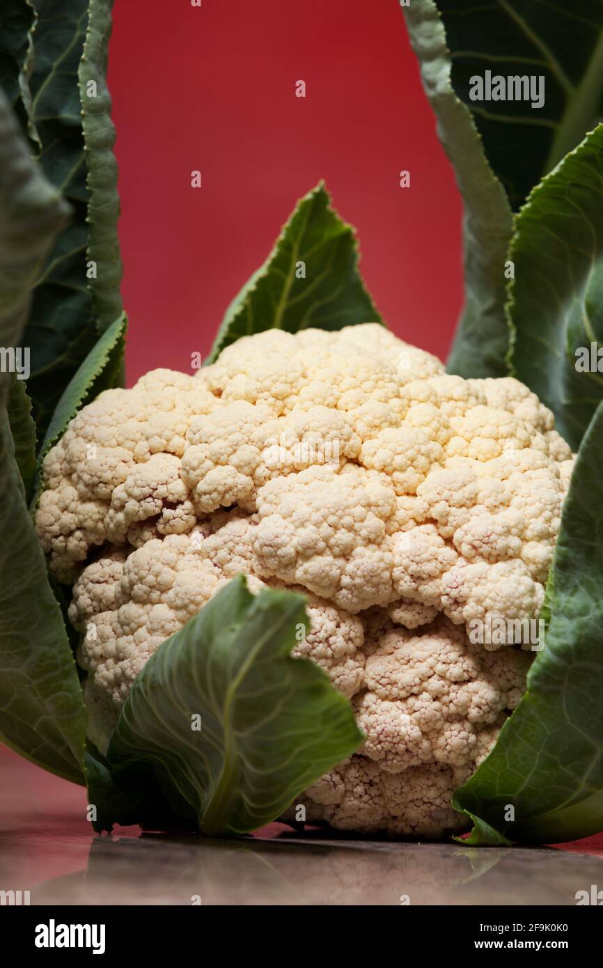 Homegrown cauliflower hi-res stock photography and images - Alamy