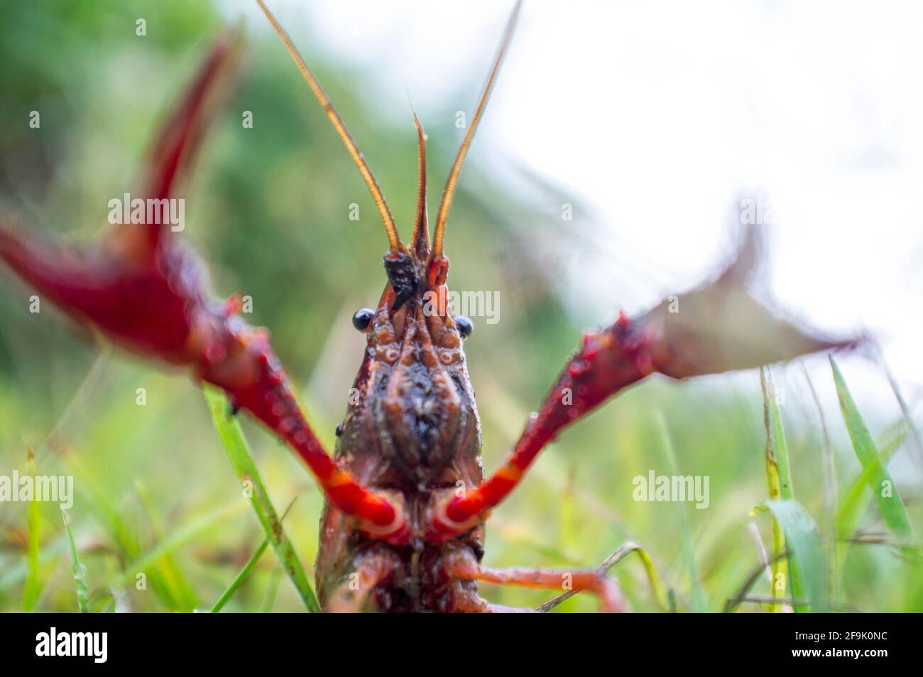 Green river killer hi-res stock photography and images - Alamy
