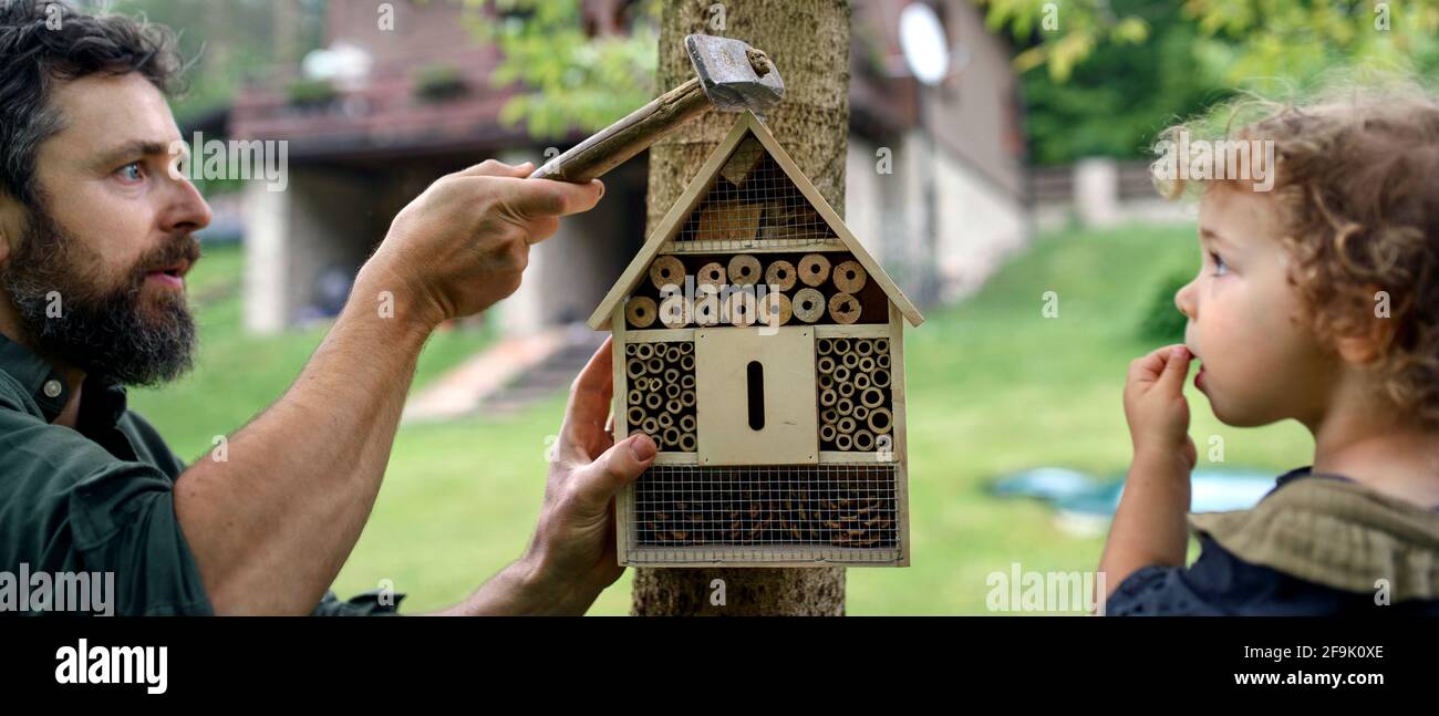 Small girl with father holding bug and insect hotel in garden ...