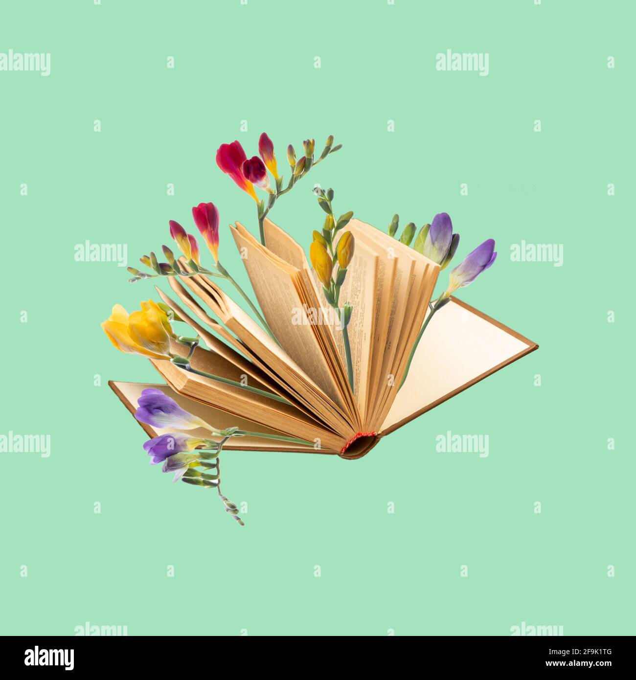 Contemporary art collage, modern design. Summertime mood Stock Photo ...