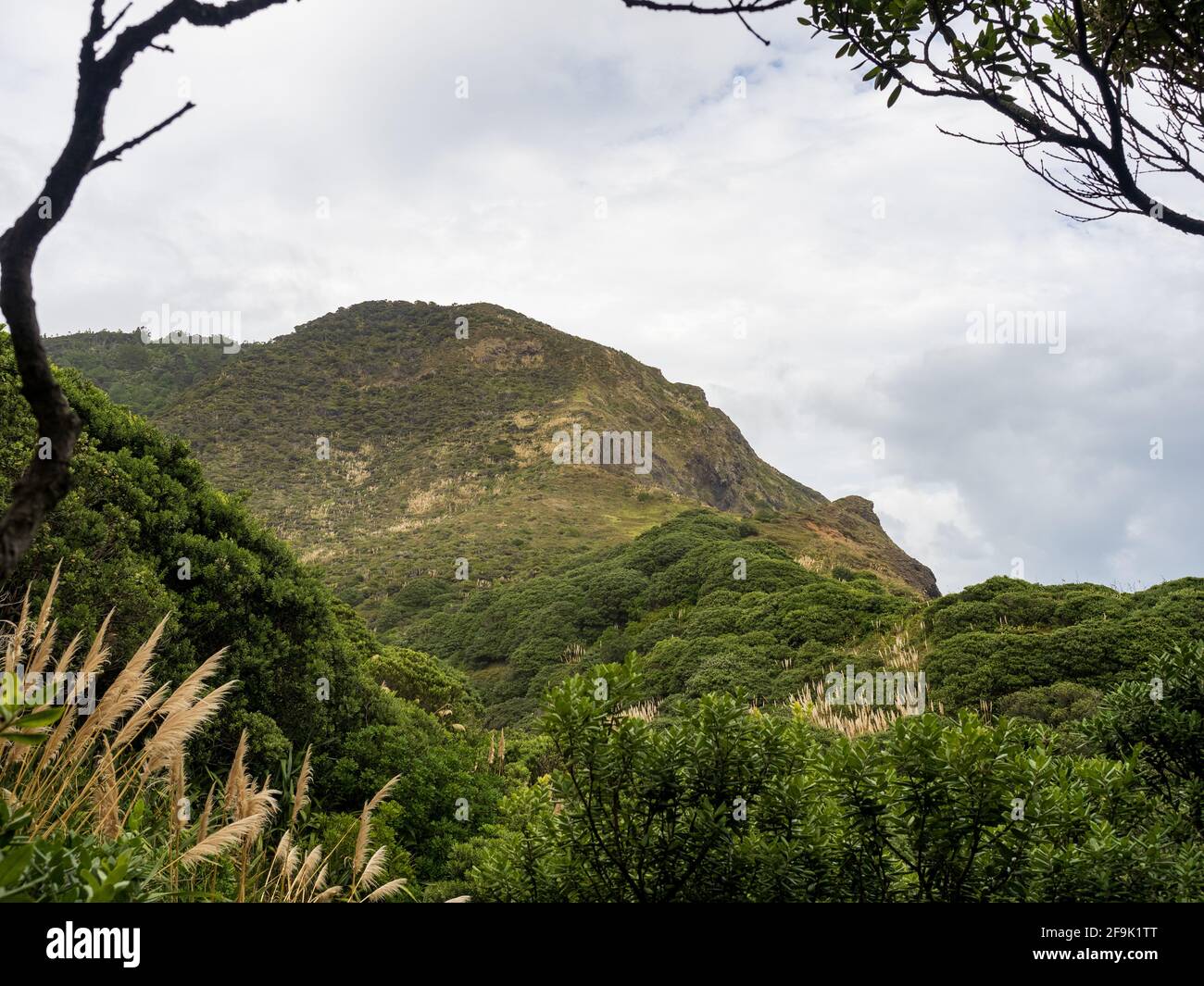 Hikurangi Takatu head mountain at Piha Stock Photo - Alamy