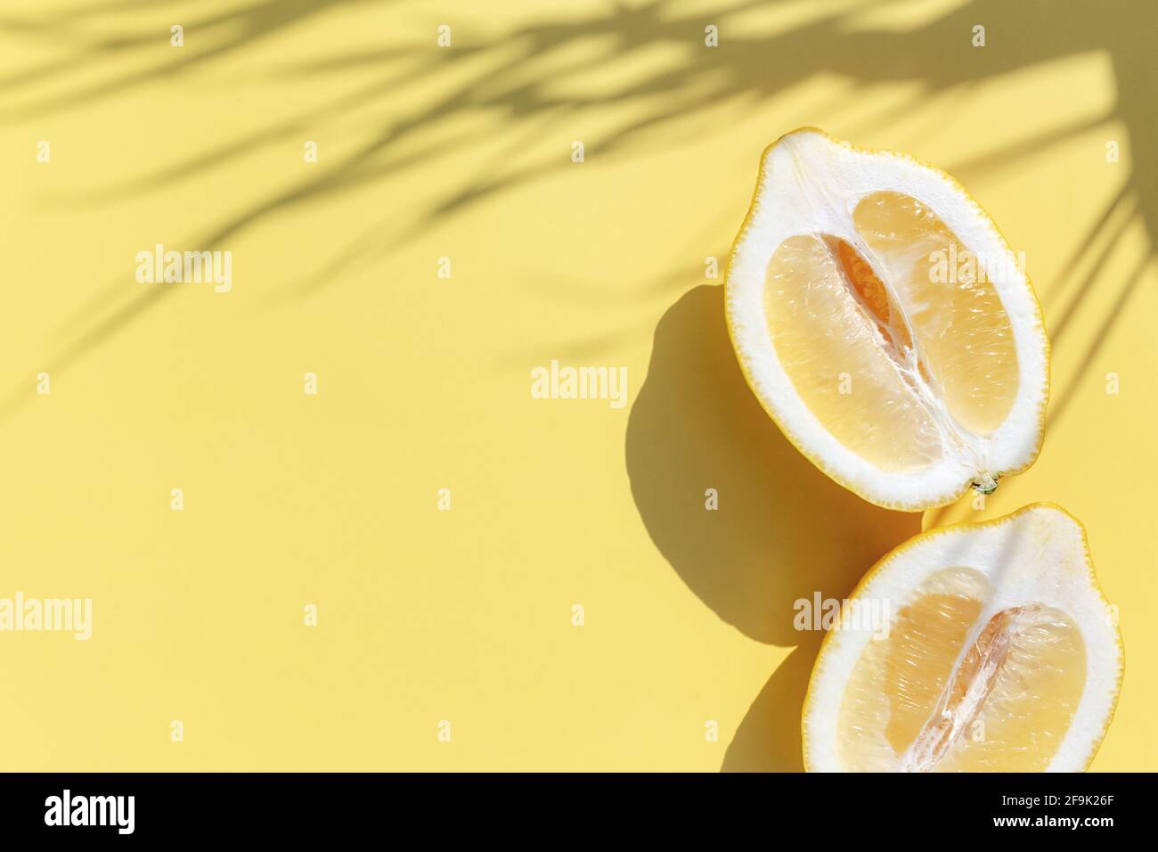 Two halved cuts of lemon with shadow from palm leaf on yellow ...