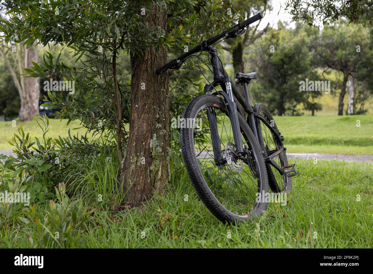 metal bicycle leaning against a leafy tree in a park, means of ...